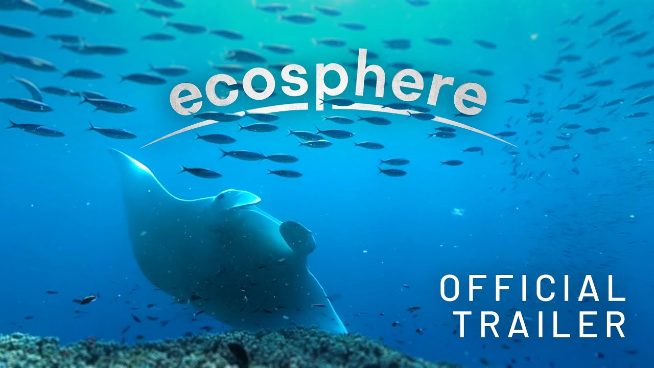 VR Nature Documentary Series Ecosphere Launches on Oculus Quest and Go ...